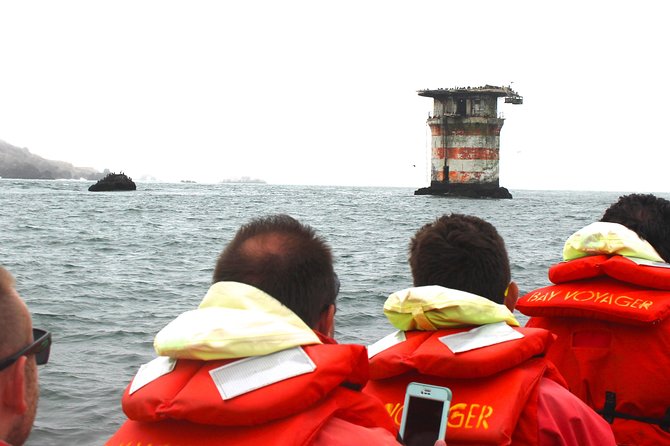 San Francisco Bay Adventure Sightseeing Cruise - Who Will Love This Tour?