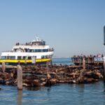 San Francisco Bay Cruise - What’s Included and What Costs Extra