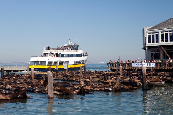 San Francisco Bay Cruise - What’s Included and What Costs Extra