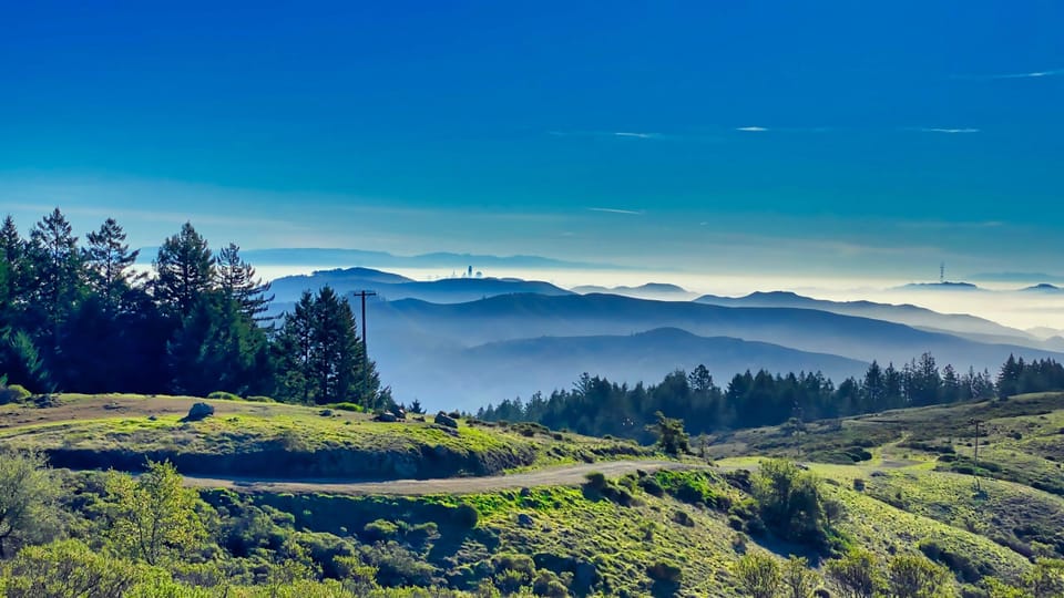 San Francisco: Bike Tour with Muir Woods and Sausalito Visit - Frequently Asked Questions
