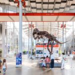 San Francisco: California Academy of Sciences Entry Ticket - Key Points