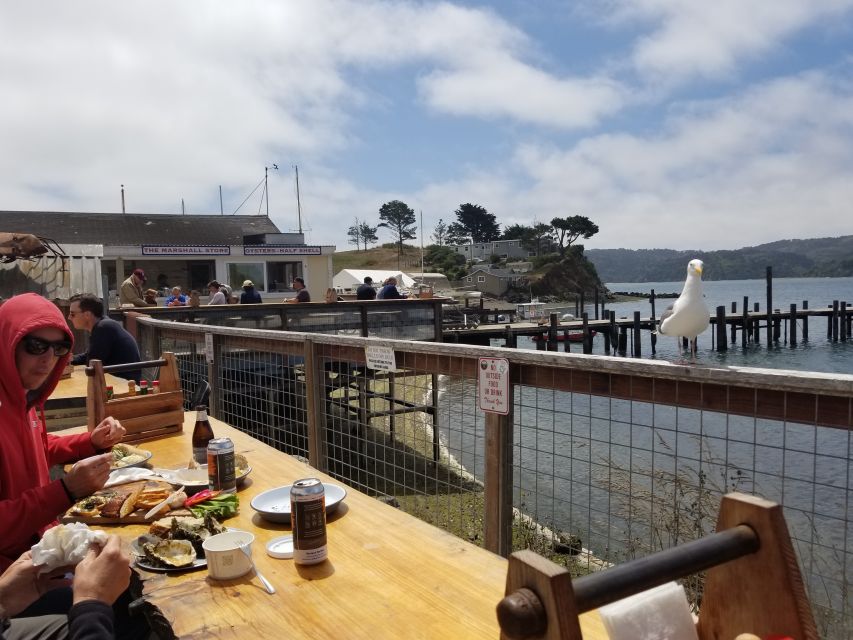 San Francisco: Cheese, Honey, Oysters & Wine Tour of Sonoma - Introducing the Sonoma Cheese, Honey, Oysters & Wine Tour