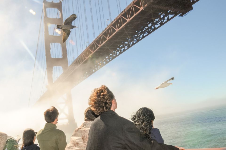 San Francisco: City Cruises Buffet Lunch or Dinner Cruise - Key Points