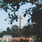 San Francisco: Coit Tower and Little Italy Guided Walking Tour - What the Tour Includes and What to Keep in Mind