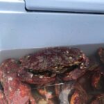 San Francisco: Crab & Cook under the Golden Gate Bridge - What to Expect on the Tour