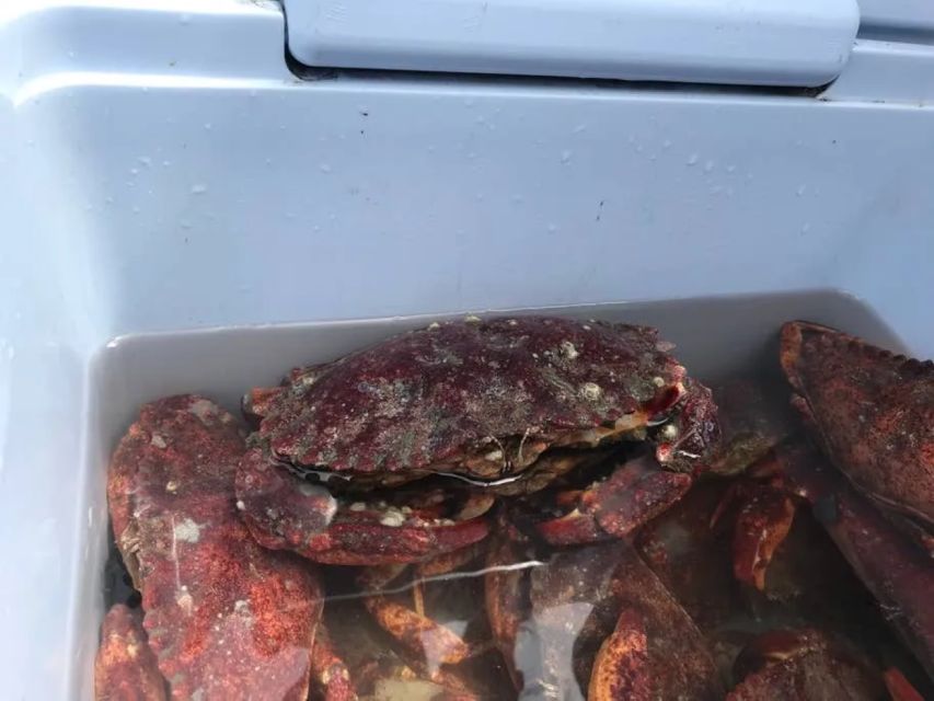 San Francisco: Crab & Cook under the Golden Gate Bridge - What to Expect on the Tour