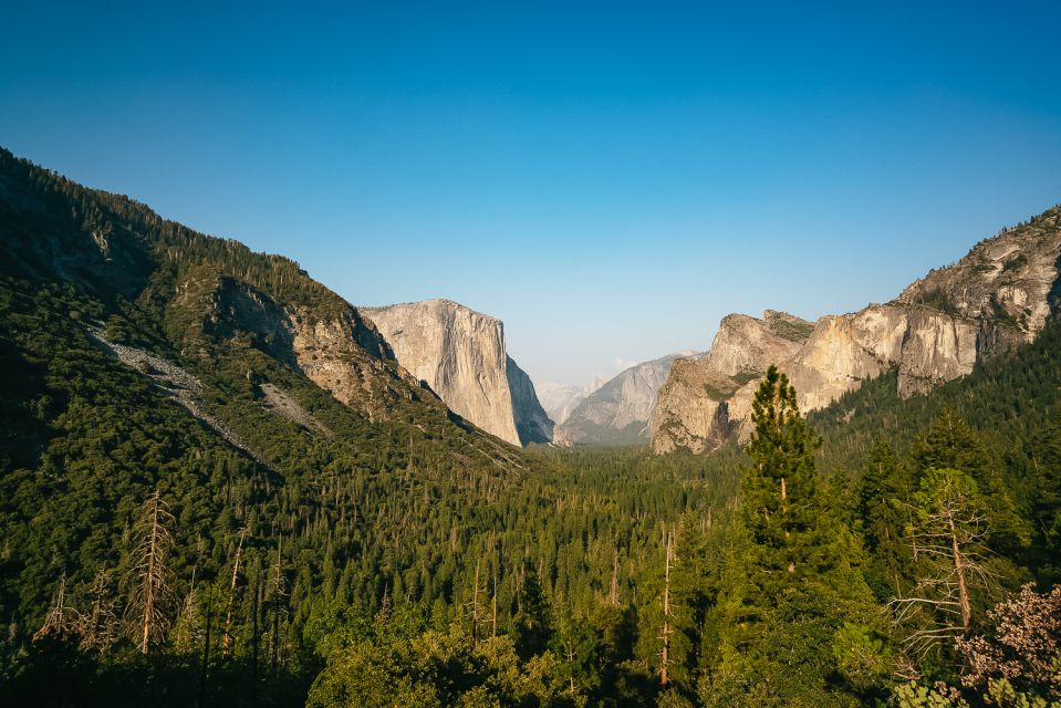 San Francisco: Day Trip to Yosemite with Giant Sequoias Hike - The Itinerary Breakdown: What to Expect on This Yosemite Day Trip