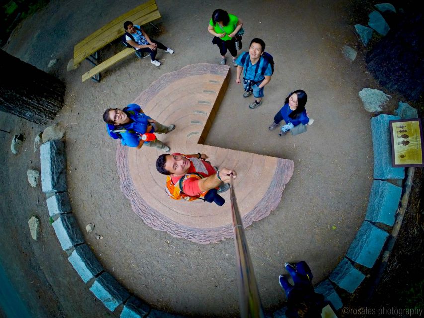 San Francisco: Day Trip to Yosemite with Giant Sequoias Hike - The Value of the Price: Does it Add Up?