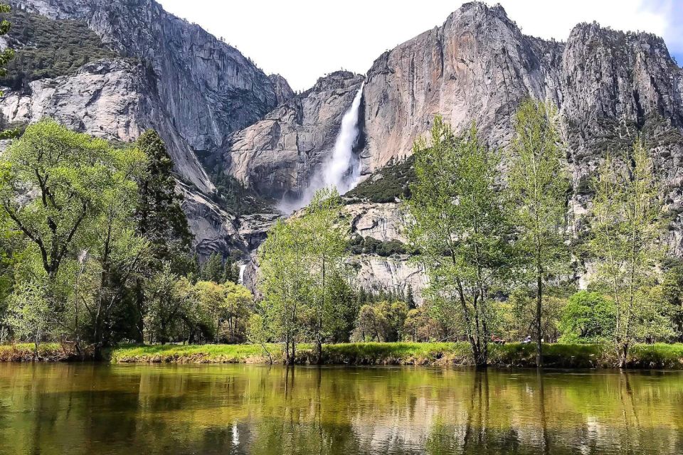 San Francisco: Day Trip to Yosemite with Giant Sequoias Hike - Authentic Experiences from Past Travelers