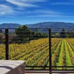 San Francisco: DeLoach Vineyards Private Wine Tour - Who Will Love This Tour?