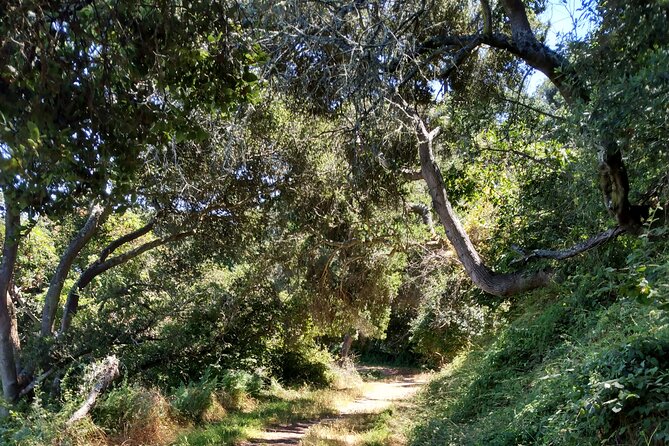 San Francisco E-bike Tour on Scenic Trails - FAQ