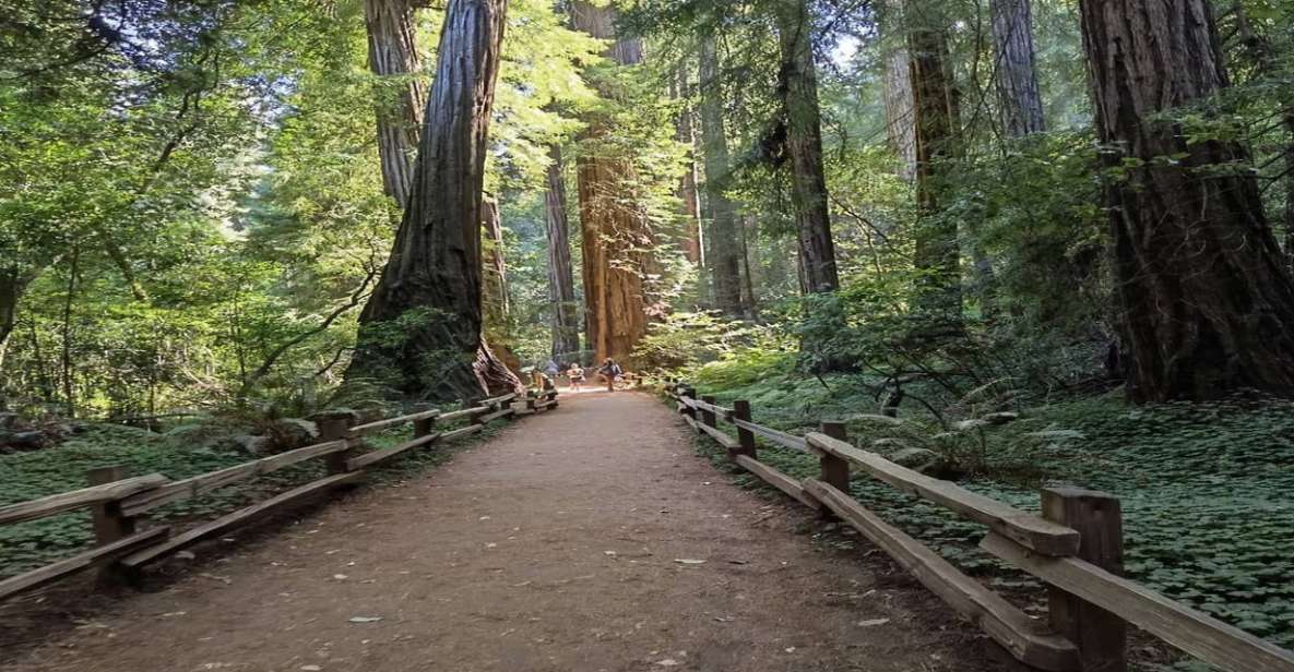 San Francisco: Full-Day City Tour w/ Muir Woods & Sausalito - Final Thoughts: Is This Tour Right for You?
