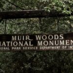 San Francisco: Full Day Coastal Redwoods & Wine Country Tour - What to Expect in Terms of Logistics & Experience