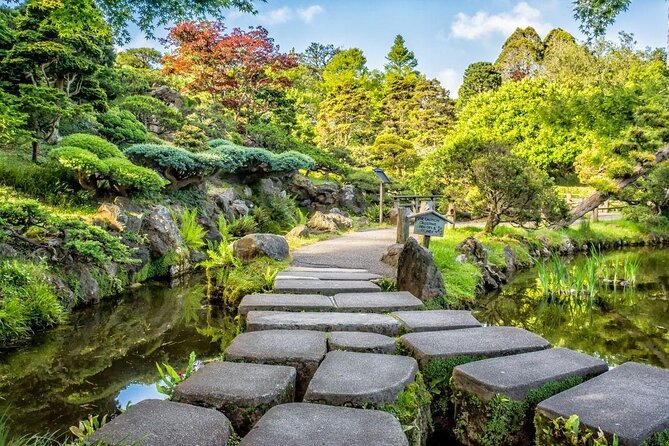 San Francisco Golden Gate Park Puzzling Adventure - What to Expect During the Experience