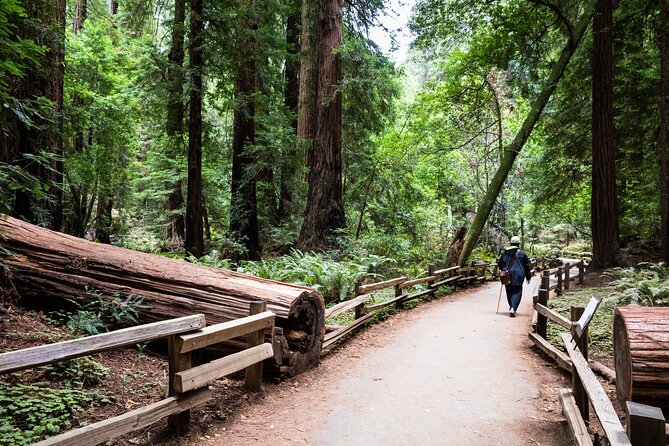 San Francisco, Golden Gate, Sausalito and Muir Woods Private Tour - Why Travelers Will Love This Tour