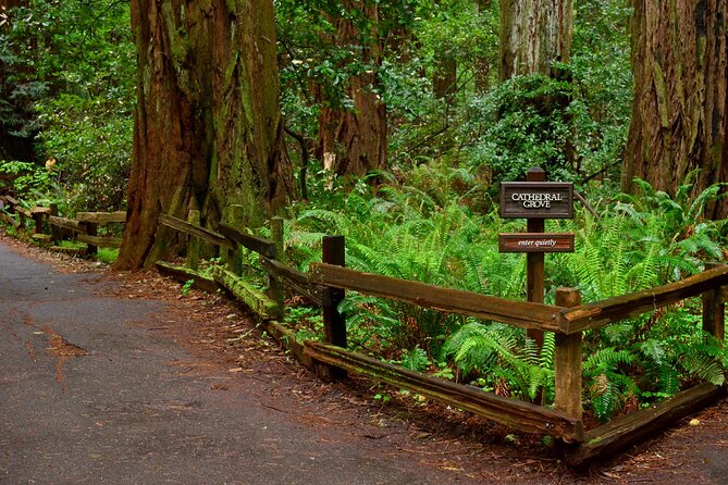 San Francisco, Golden Gate, Sausalito and Muir Woods Private Tour - Who Should Consider This Tour?