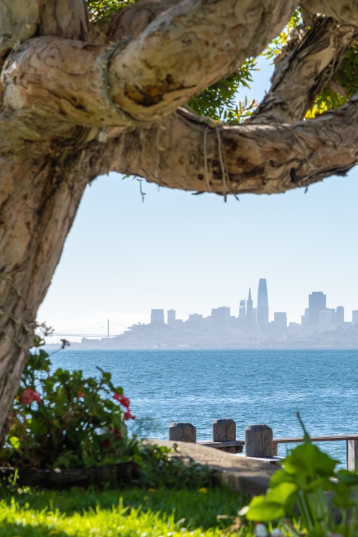 San Francisco Golden Gate Sausalito Muir Woods Private Tour - Value for Money: Is It Worth $790?