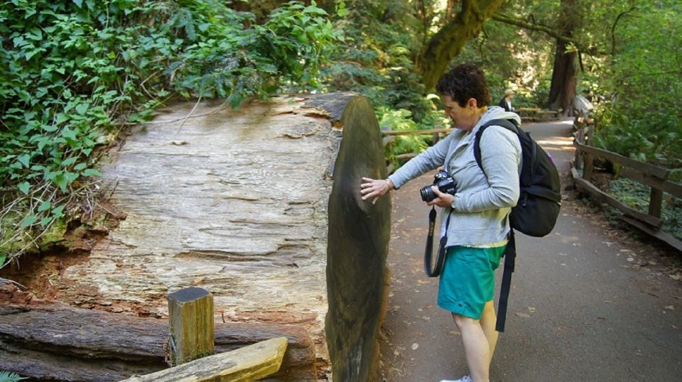 San Francisco: Guided Coastal Redwoods & Wine Country Tour - Starting Point and Transportation