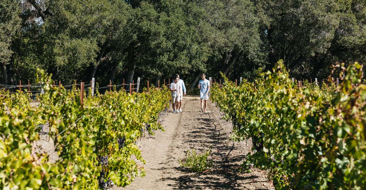 San Francisco: Half-Day Wine Country Excursion with Tastings - Winery Visits & Tasting Experience