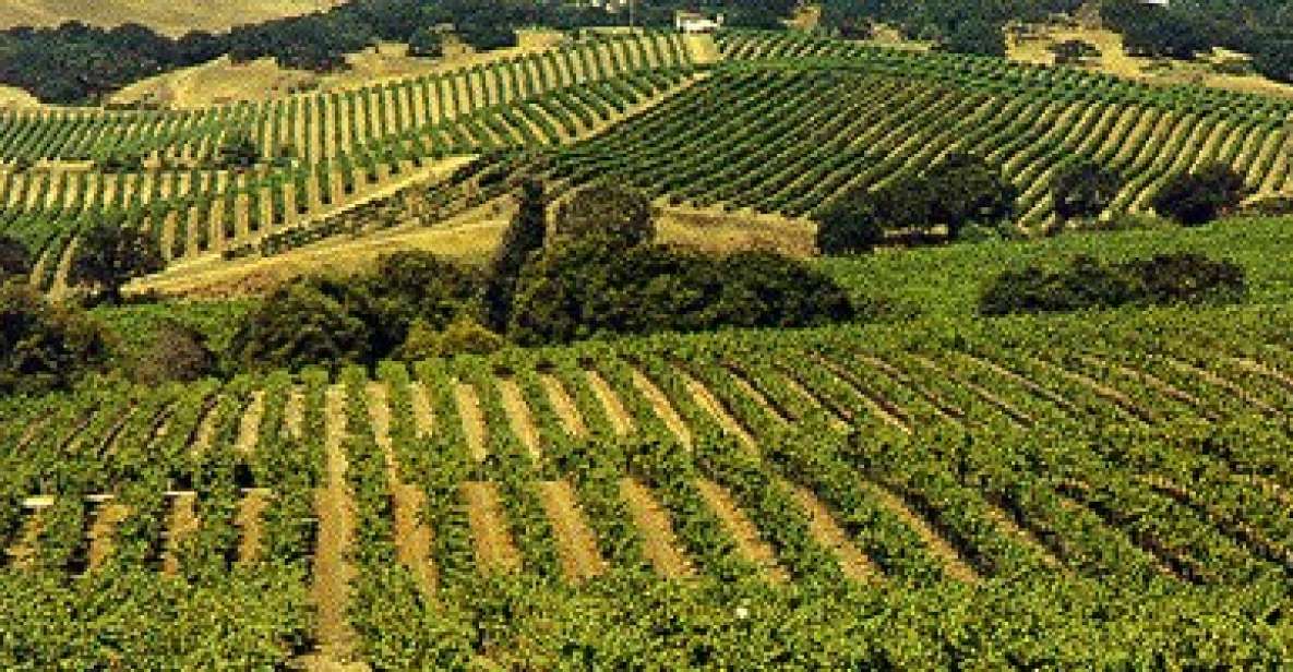 San Francisco: Half-Day Wine Country Tour with Wine Tastings - Introduction