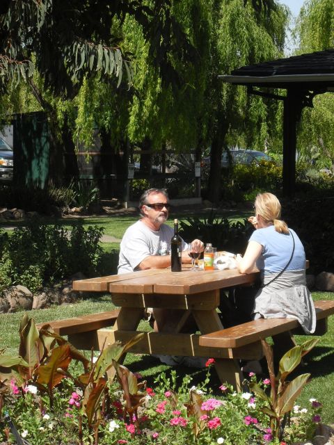 San Francisco: Half-Day Wine Country Tour with Wine Tastings - The Experience in Detail