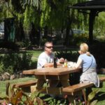 San Francisco: Half Day Wine Tour & Hop-On Hop-Off City Tour - Why This Tour Works Well For