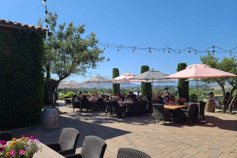 San Francisco: Half-Day Wine Tour with 2 Tastings Included - What We Love & What to Consider  