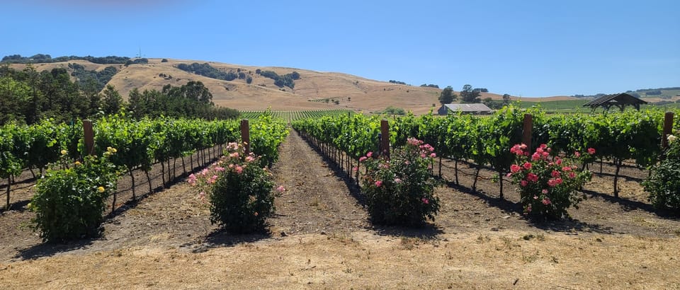 San Francisco: Half-Day Wine Tour with 2 Tastings Included - Frequently Asked Questions  