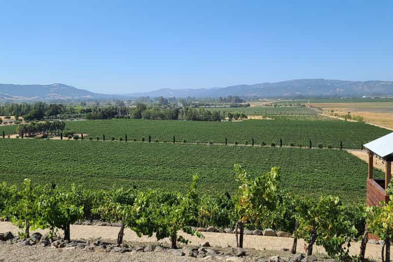 San Francisco: Half-Day Wine Tour with 2 Tastings Included - What to Expect from the Tour