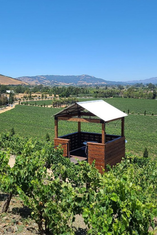 San Francisco: Half-Day Wine Tour with 2 Tastings Included - Practical Details & Value