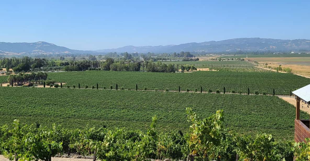 San Francisco: Half-Day Wine Tour with 2 Tastings Included - Pros and Cons