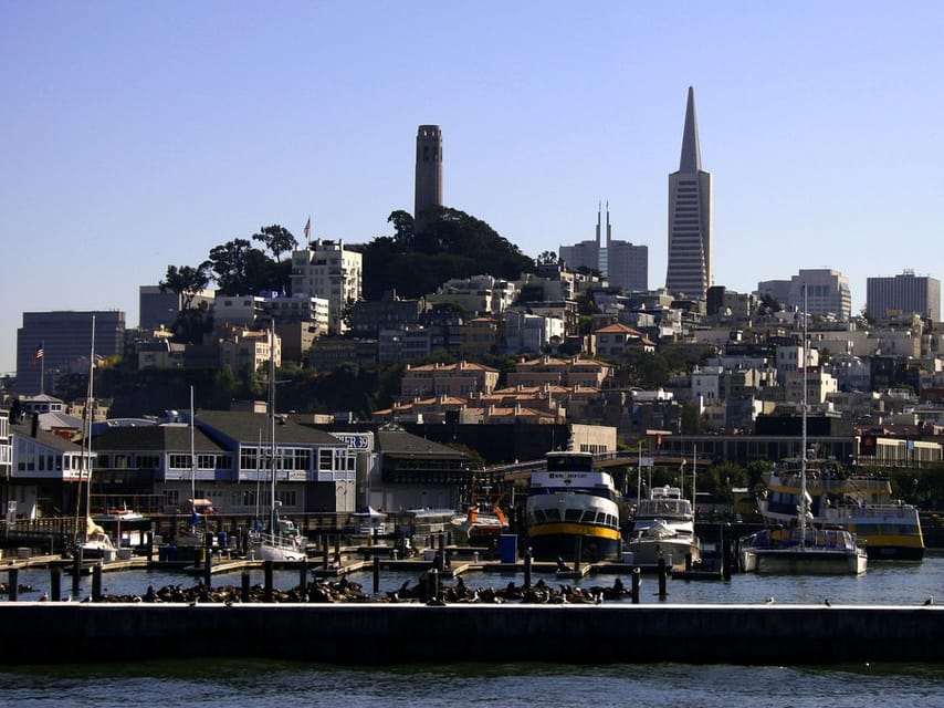San Francisco: Hop-On Hop-Off City Bus Tour and Bay Cruise - Key Points