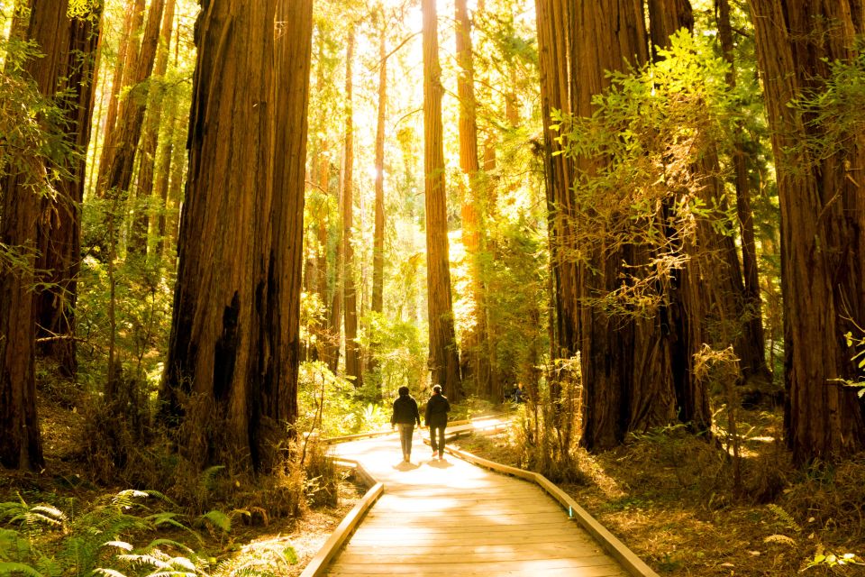 San Francisco: Hop-On Hop-Off + Muir Woods Tour - The Sum Up
