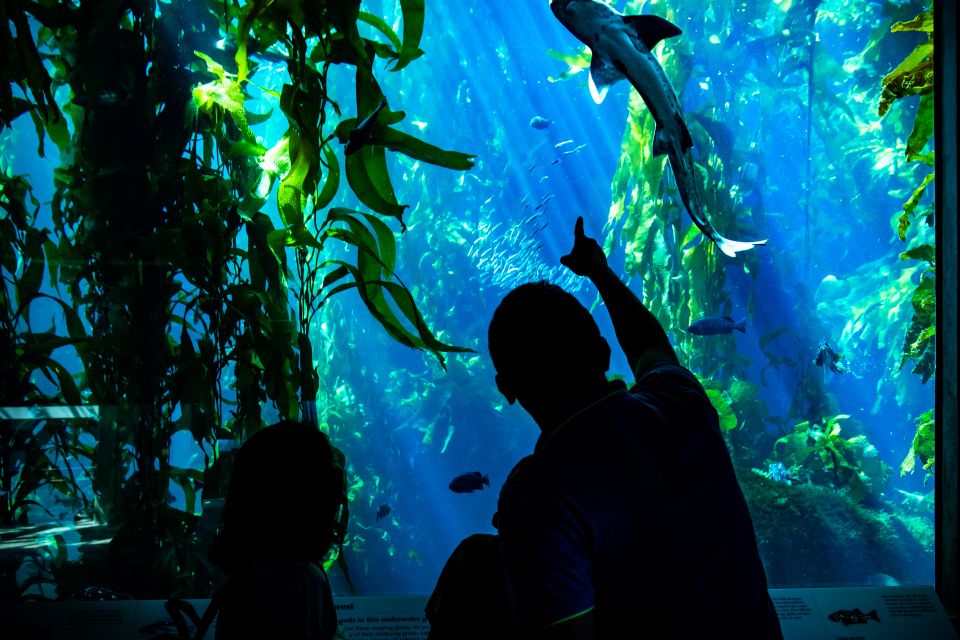San Francisco: Monterey and Carmel Tour - FAQs