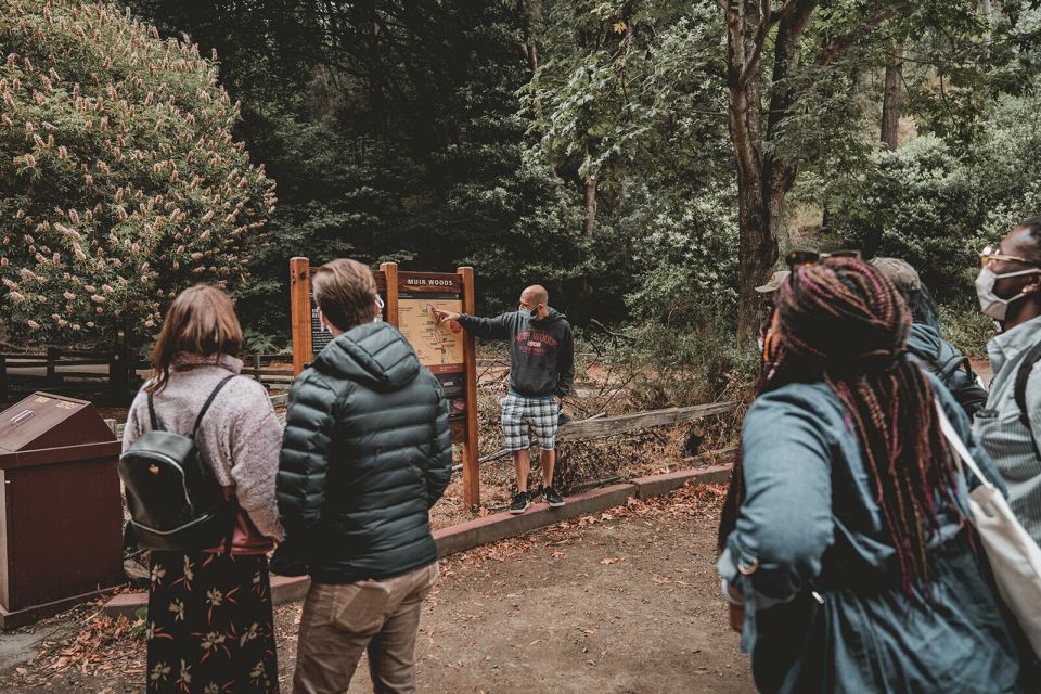 San Francisco: Morning Muir Woods & Sausalito Tour w/ Ferry - What Makes This Tour Stand Out