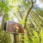 San Francisco: Muir Woods and Sausalito Experience - Who Will Love This Tour?