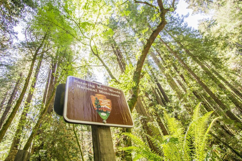 San Francisco: Muir Woods and Sausalito Experience - Who Will Love This Tour?
