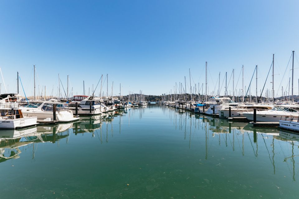 San Francisco: Muir Woods and Sausalito Small-Group Tour - Deep Dive into the Experience