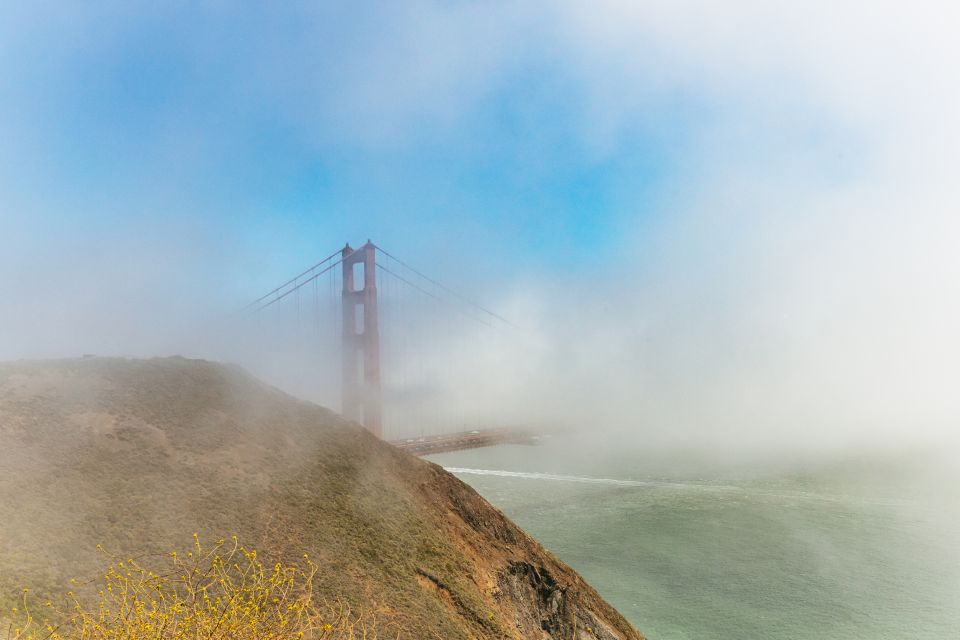 San Francisco: Muir Woods and Sausalito Small-Group Tour - Who Should Book This Tour?