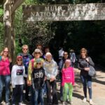 San Francisco: Muir Woods and Sausalito Small Group Tour - Why You’ll Love This Tour