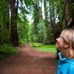 San Francisco: Muir Woods and Sausalito Tour with Admission - Final Thoughts: Who Is This Tour Best For?