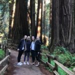 San Francisco & Muir Woods Full Day Small Group Private Tour - Transportation and Comfort