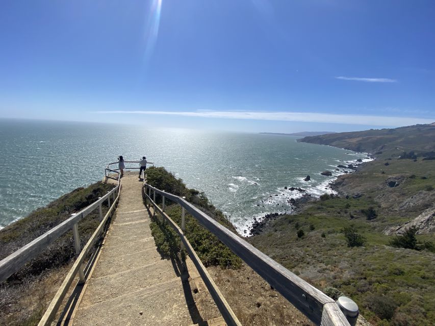 San Francisco: Muir Woods Giant Redwoods & City Private Tour - A Deep Dive into the Itinerary