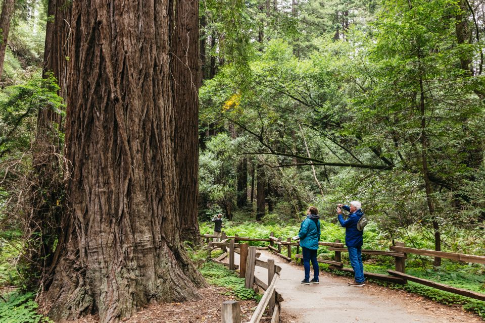 San Francisco: Muir Woods, Napa & Sonoma Valley Wine Tour - A Deep Dive into the Tour Experience
