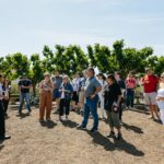San Francisco: Muir Woods, Napa & Sonoma Valley Wine Tour - The Value of This Tour