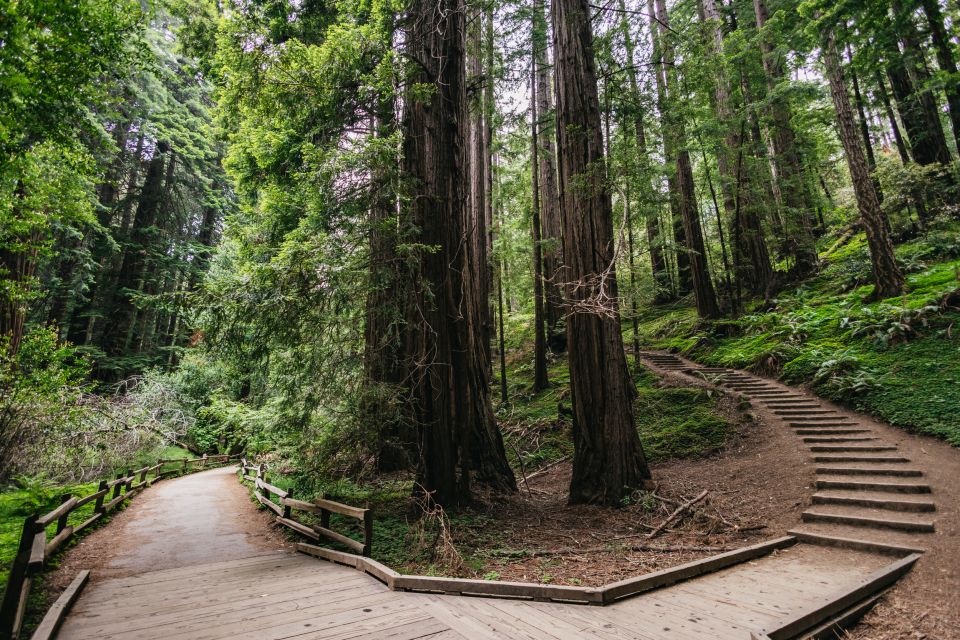 San Francisco: Muir Woods, Napa & Sonoma Valley Wine Tour - FAQ