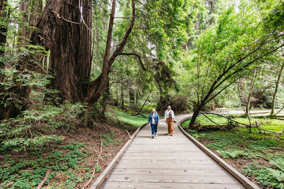 San Francisco: Muir Woods, Napa & Sonoma Valley Wine Tour - Final Thoughts