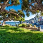 San Francisco: Muir Woods, San Francisco and Sausalito Tour - Transportation and Comfort