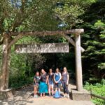 San Francisco: Muir Woods, Sausalito, & Alcatraz Night Tour - Analyzing the Value and Practicalities
