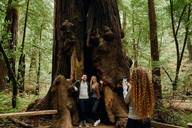 San Francisco, Muir Woods, Sausalito and optional Alcatraz tour - FAQ